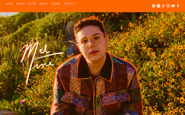 Best Band and Musician Websites | Bandzoogle Reviews and Examples