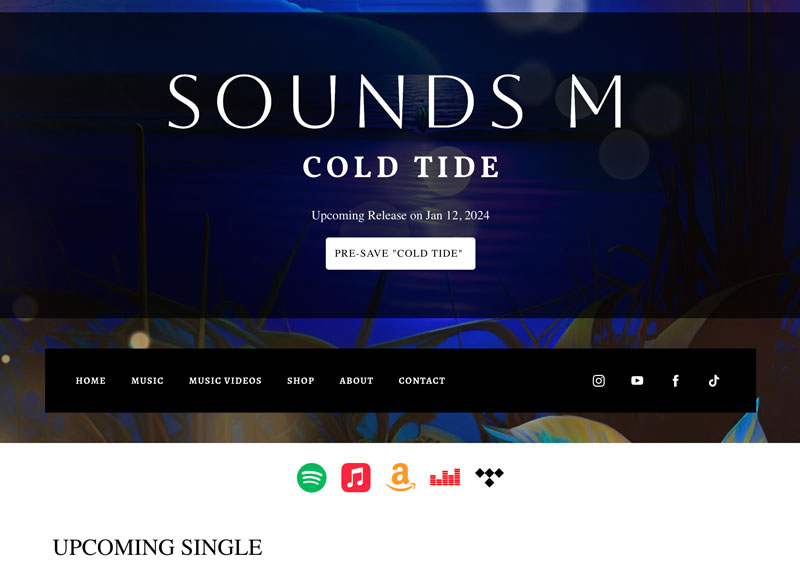 Best Band and Musician Websites | Bandzoogle Reviews and Examples