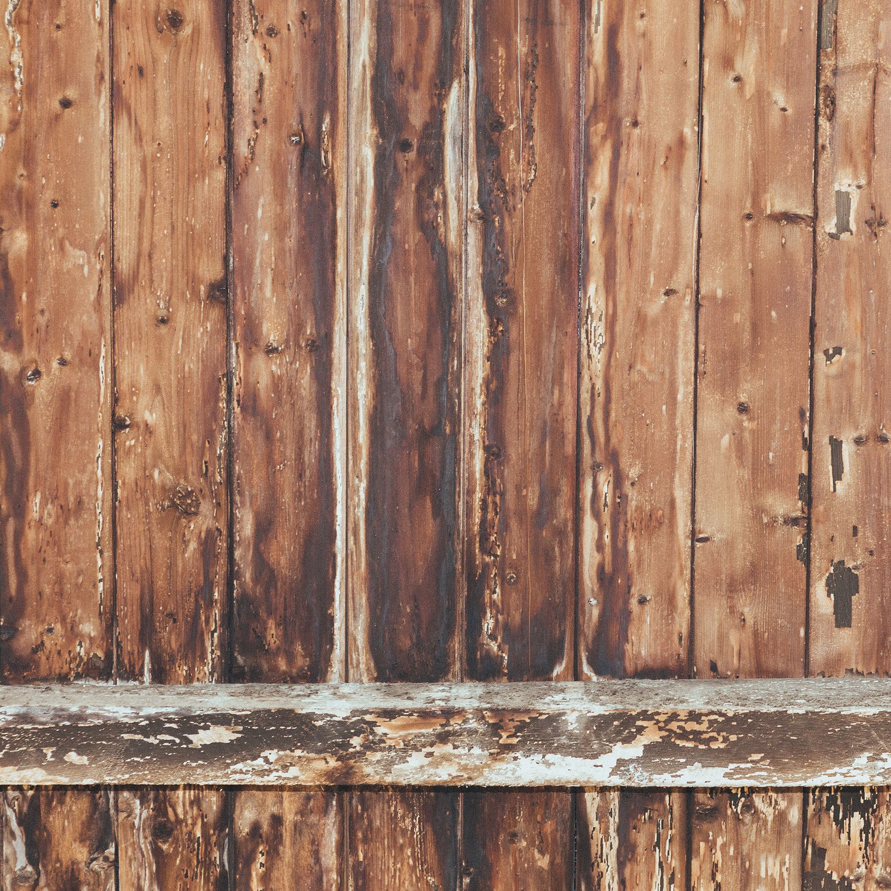 DawgTunes.com - History