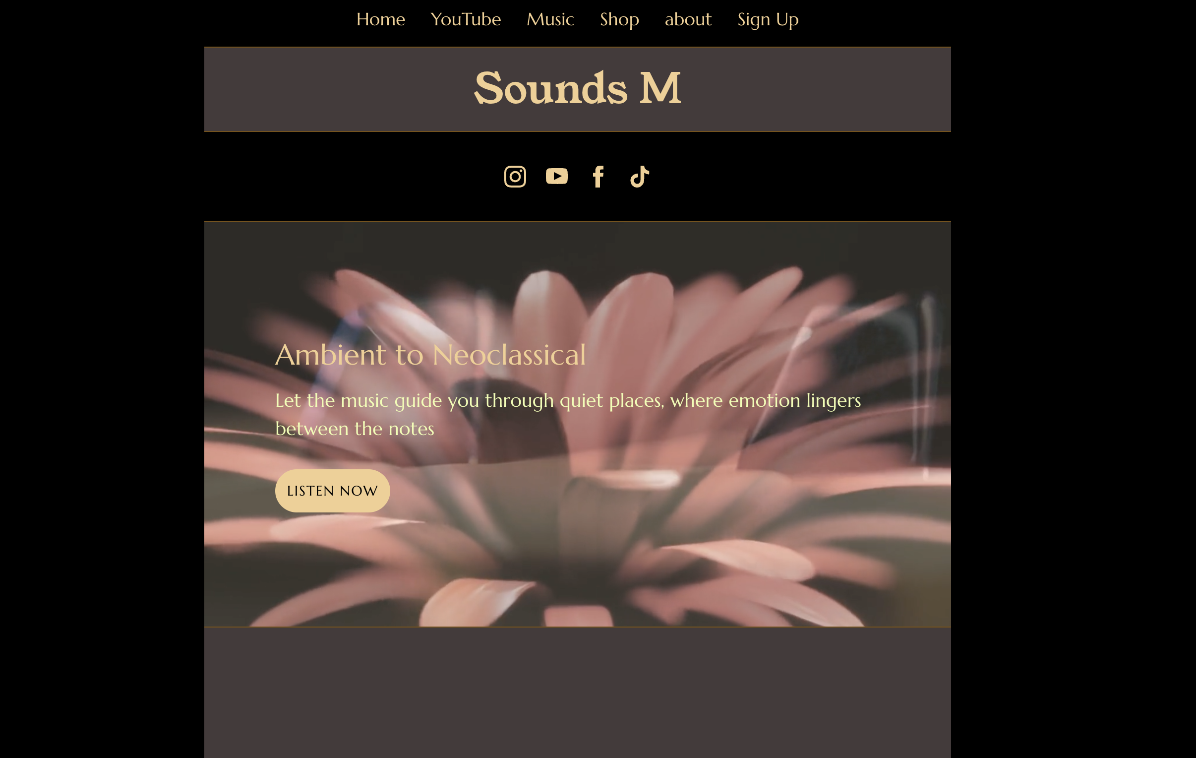 Best Band and Musician Websites | Bandzoogle Reviews and Examples