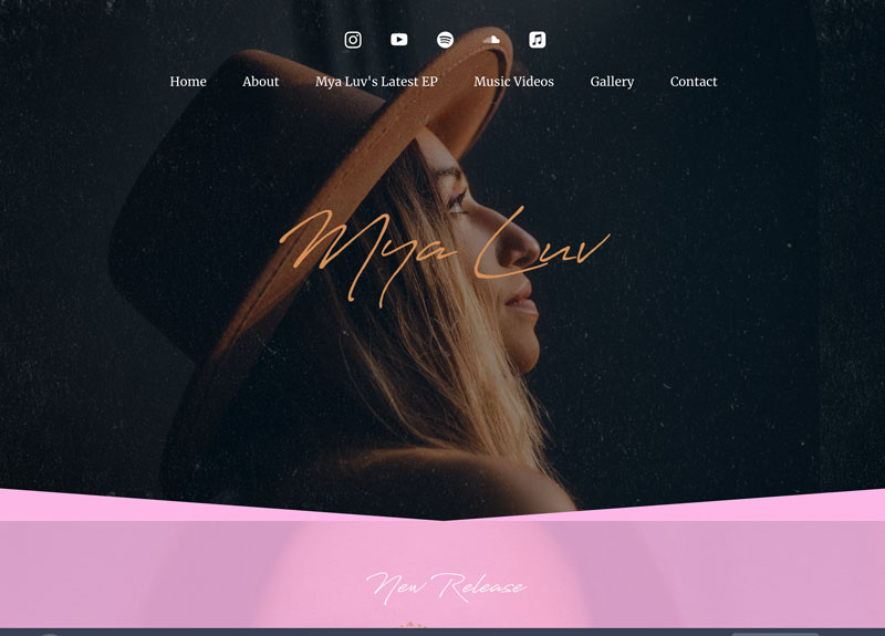 Best Band and Musician Websites | Bandzoogle Reviews and Examples