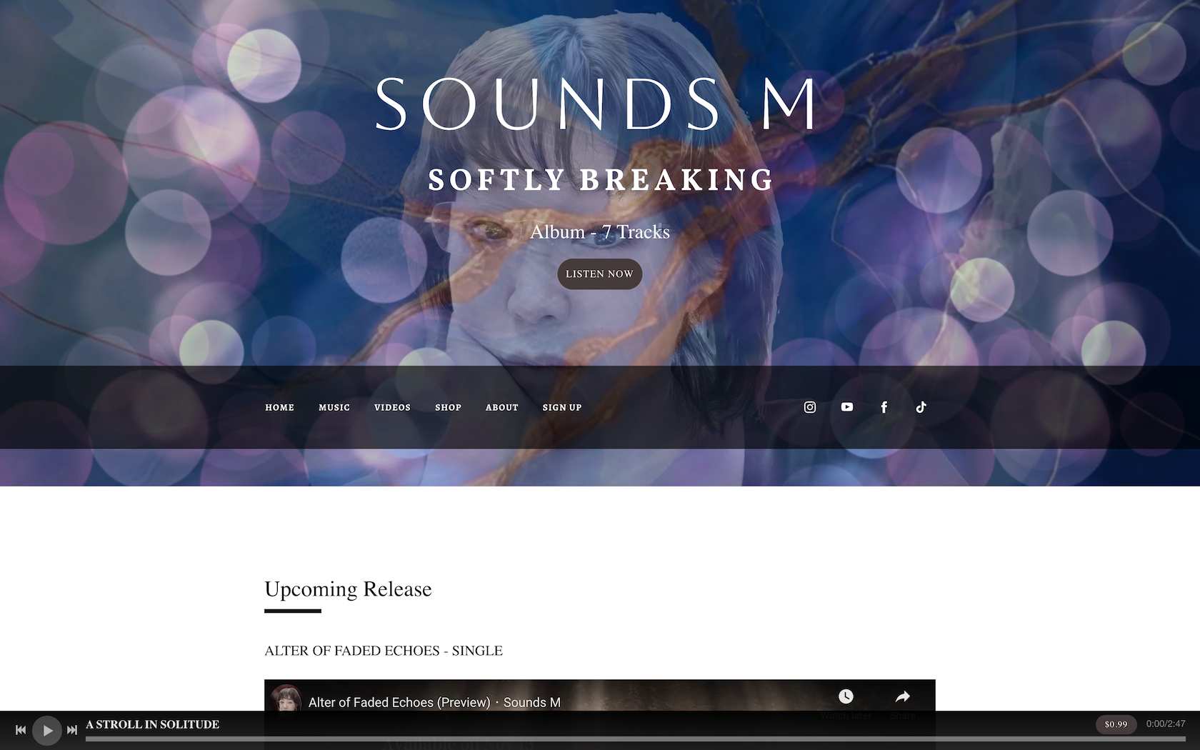 Best Band and Musician Websites | Bandzoogle Reviews and Examples