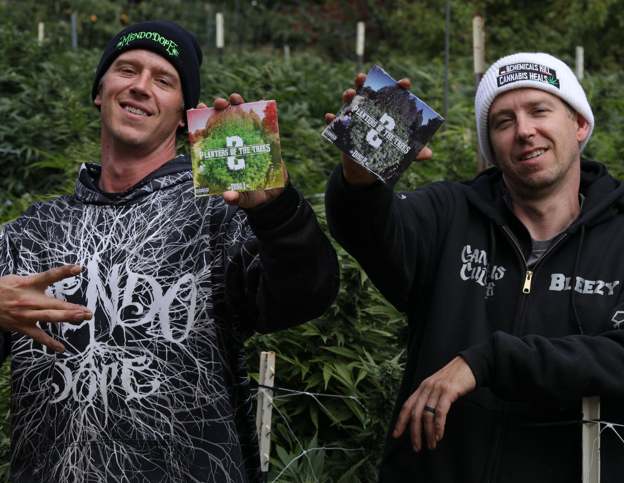 Home [mendodopemusic.com]