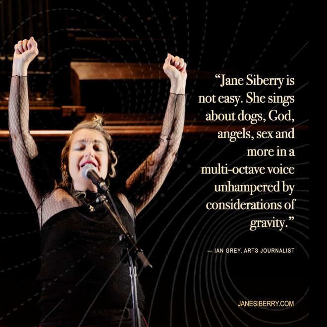 Jane Siberry - about