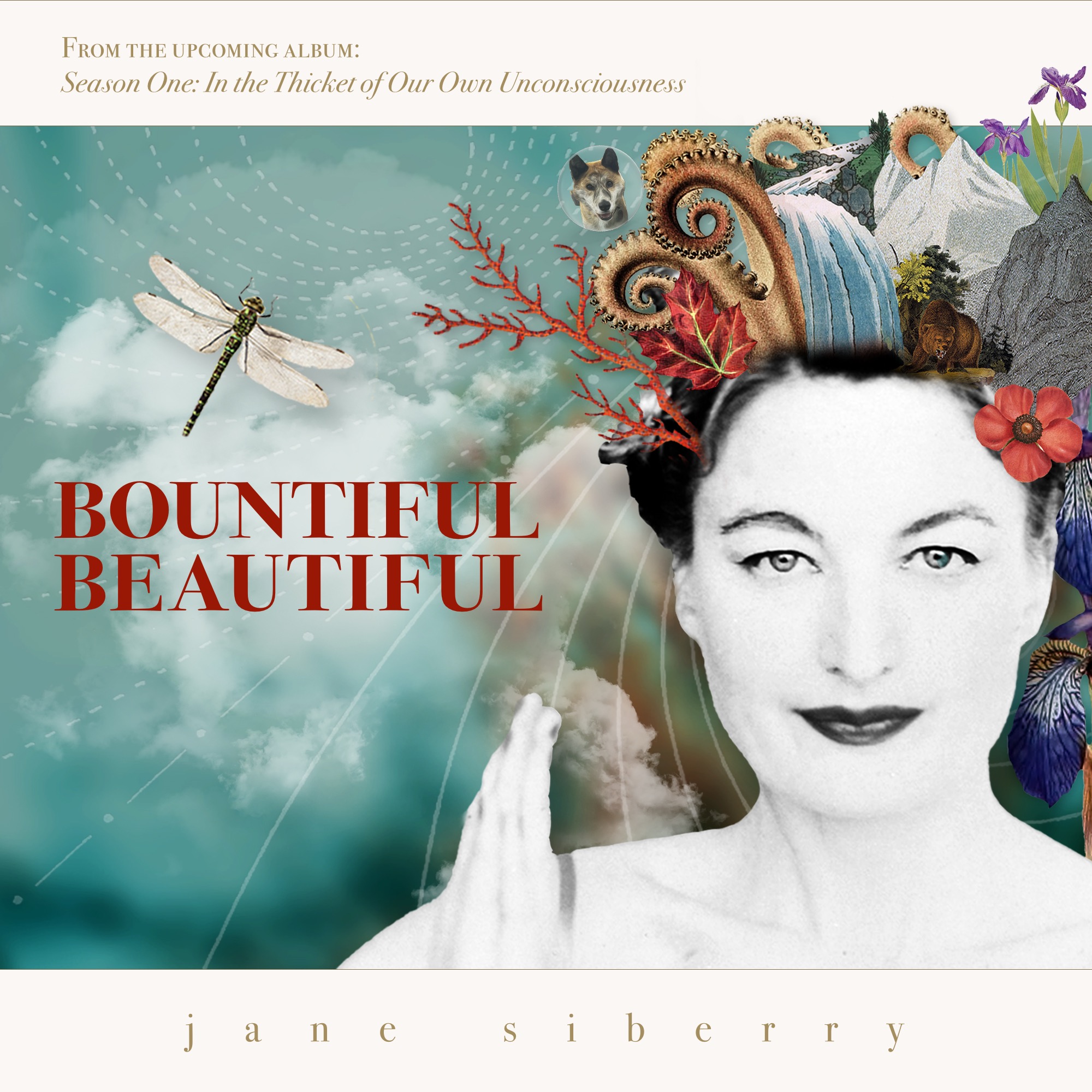 Jane Siberry