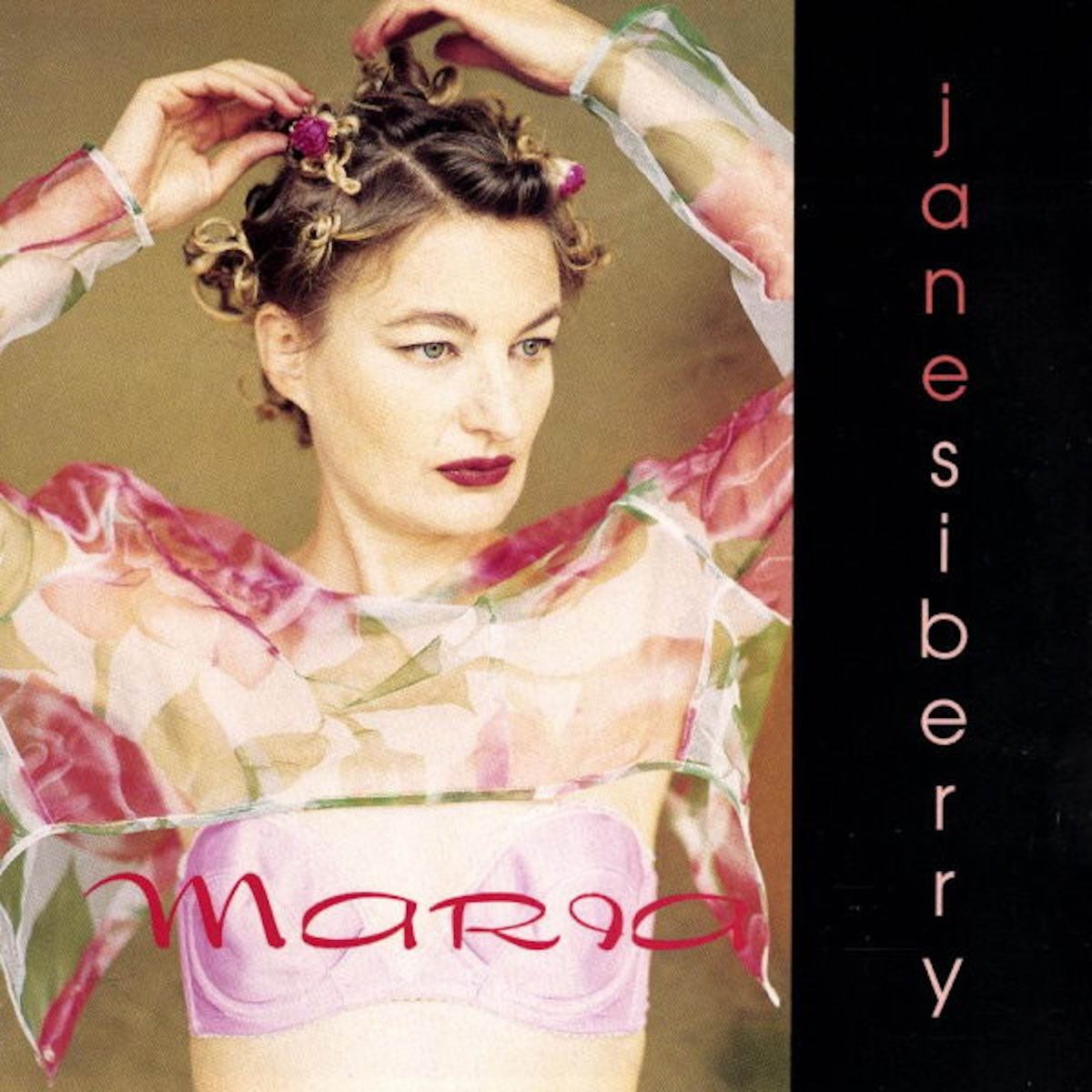 Jane Siberry - store