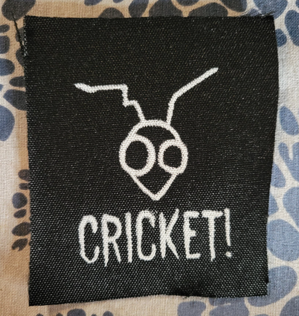 Cricket!