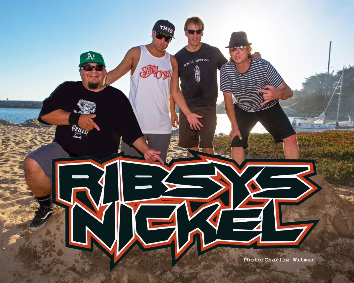 Ribsys Nickel - History