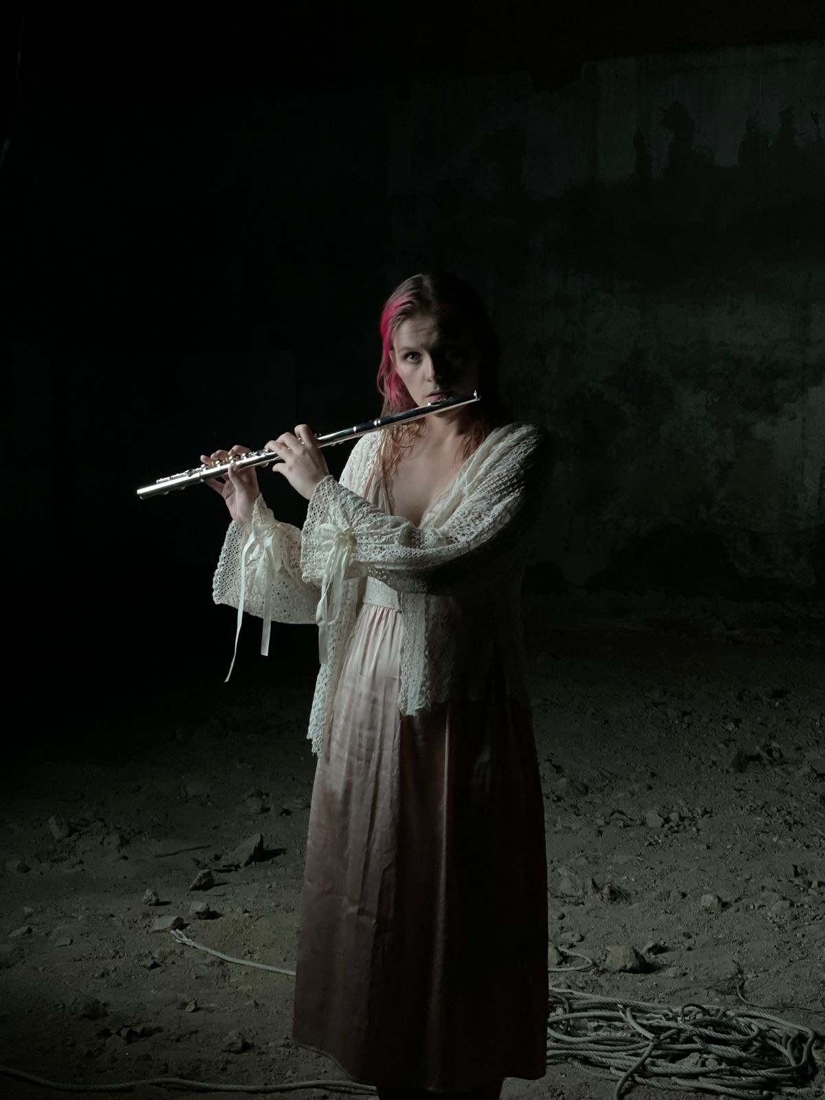 Lolli Wren - GALLERY