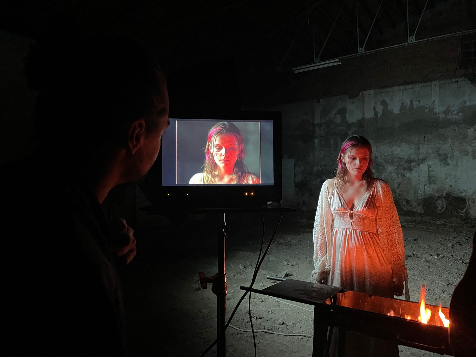 Lolli Wren - GALLERY