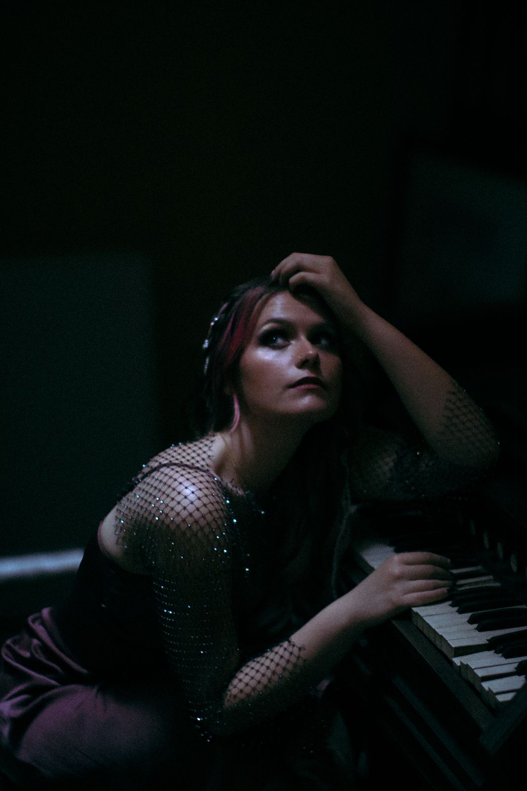 Lolli Wren - GALLERY