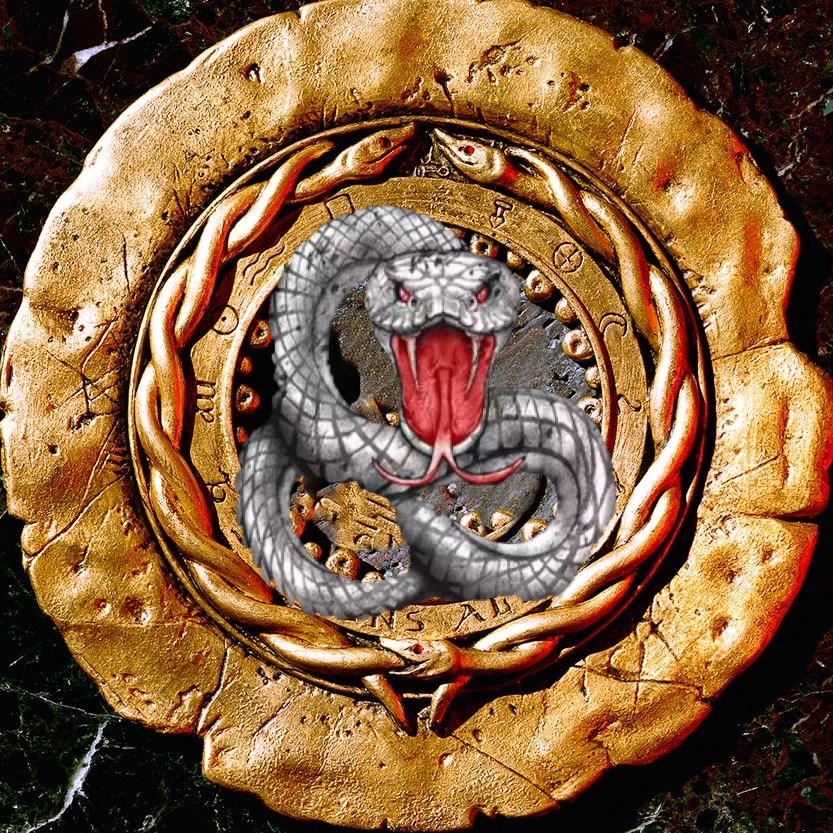 Whitestake - The Whitesnake Experience - Shows