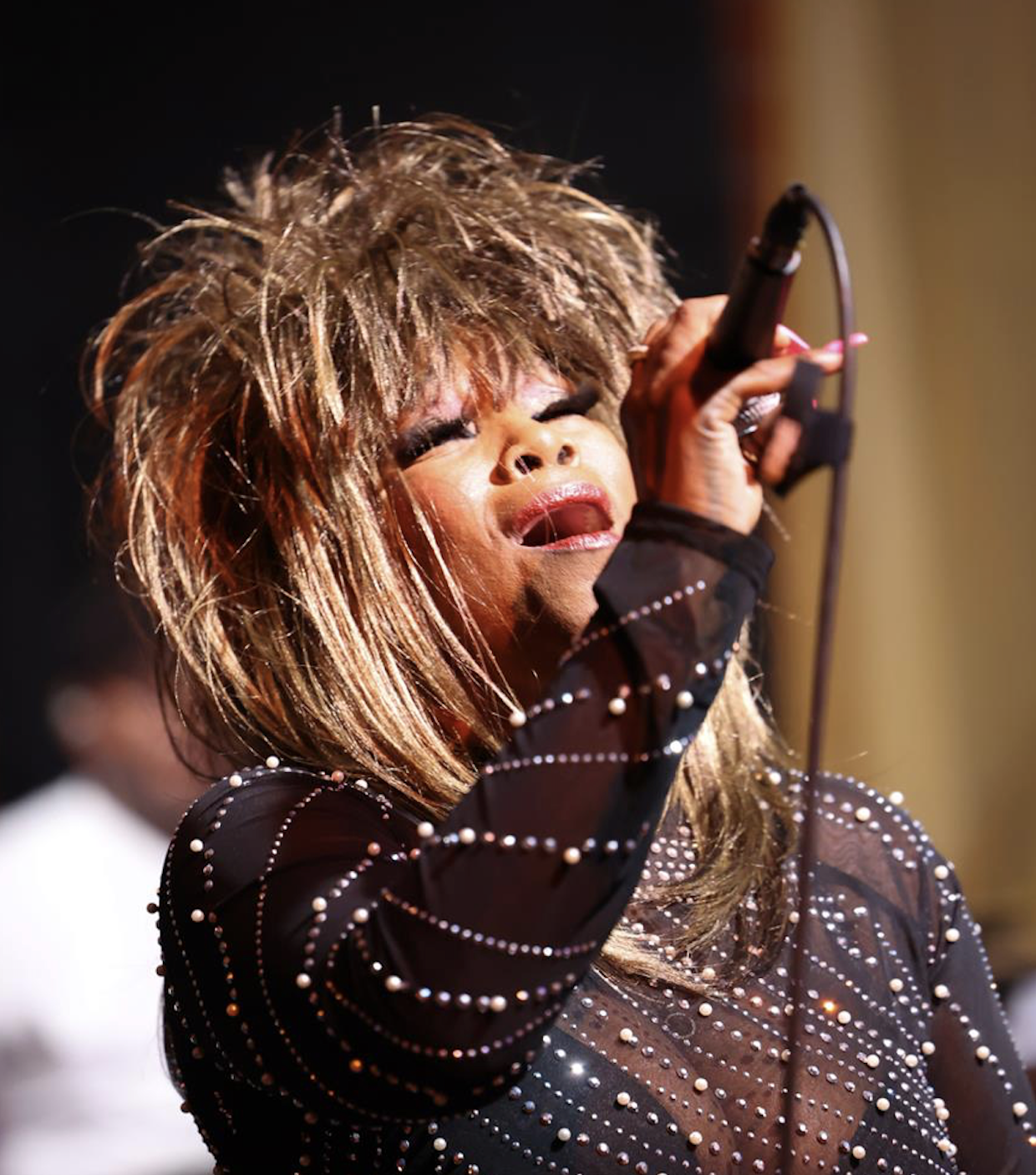 Coco Short Tina Turner Tribute