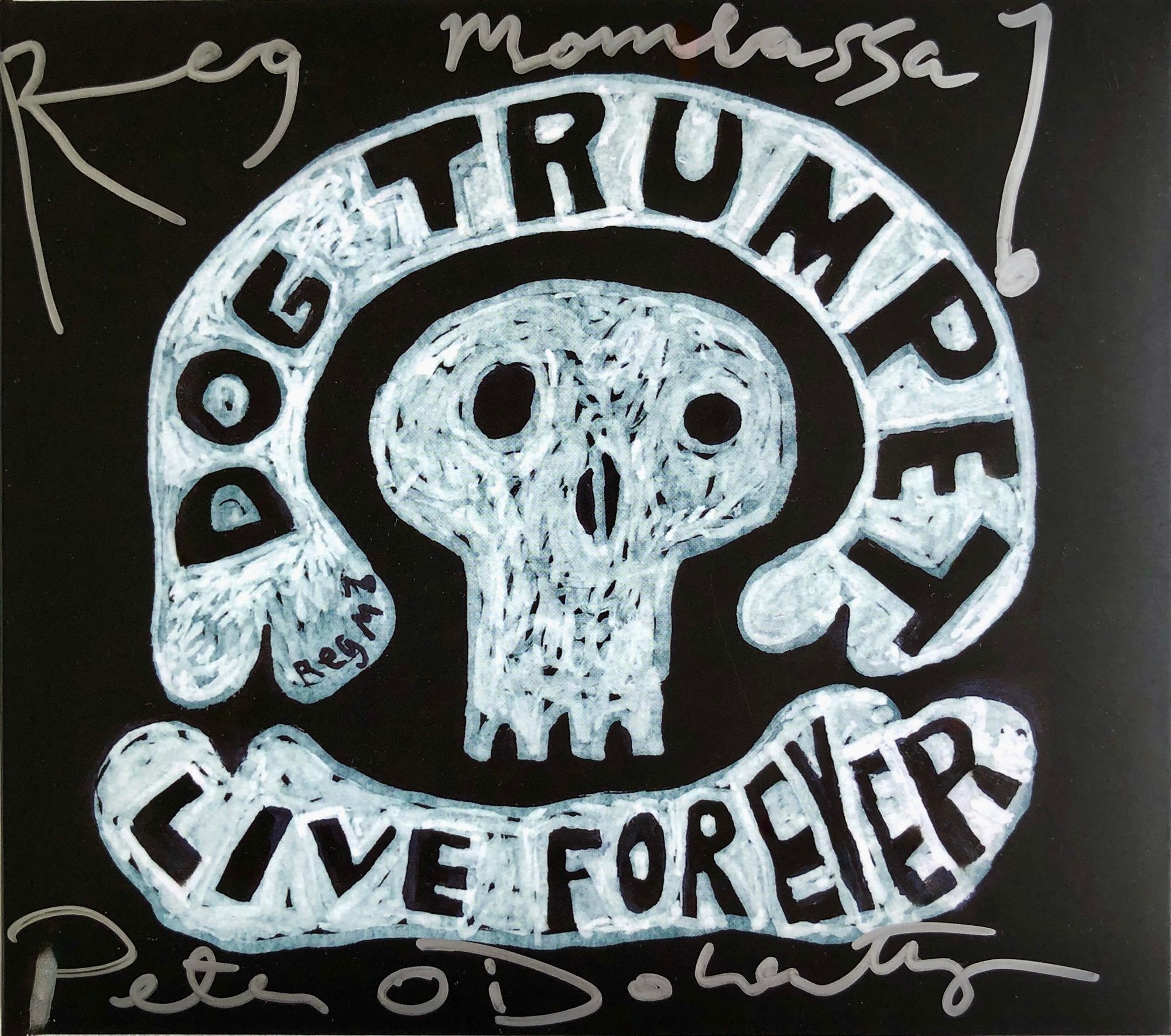 Home [www.dogtrumpet.net]