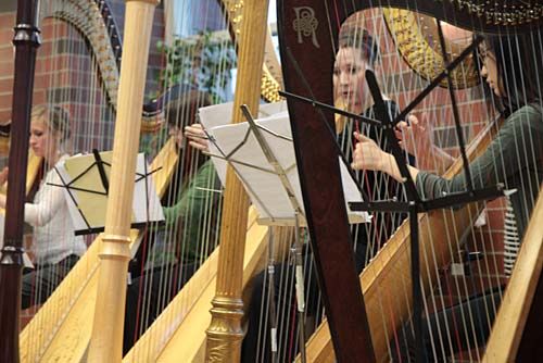 The Art of Harp by Marina - Study