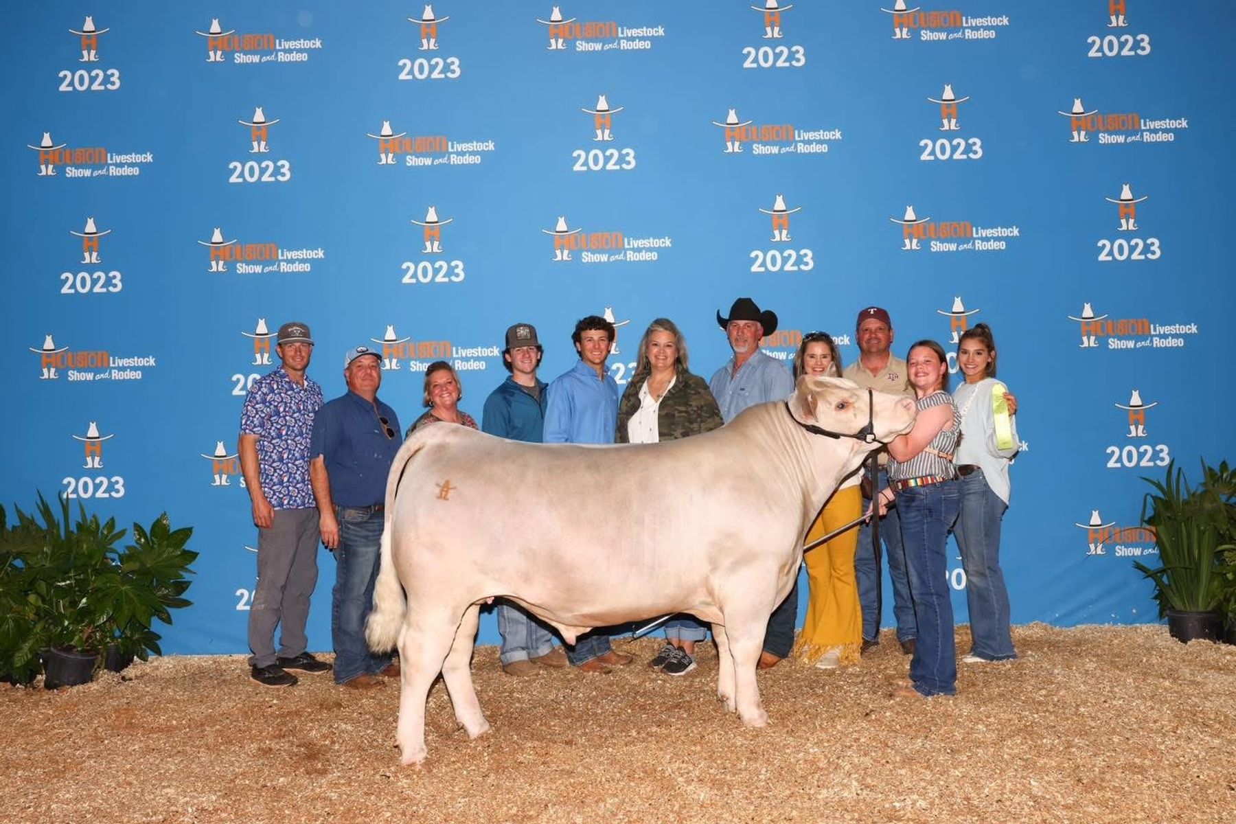 Double Rafter Cattle - Sale Events