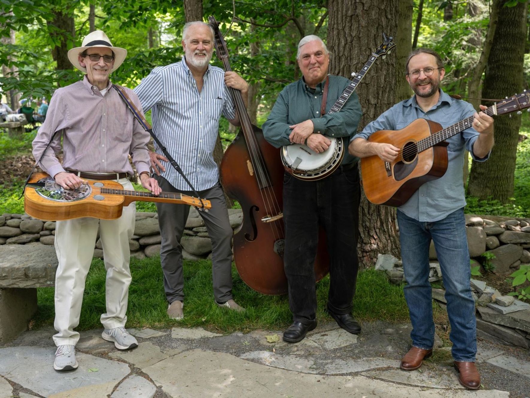 Catskill Mountain String Band