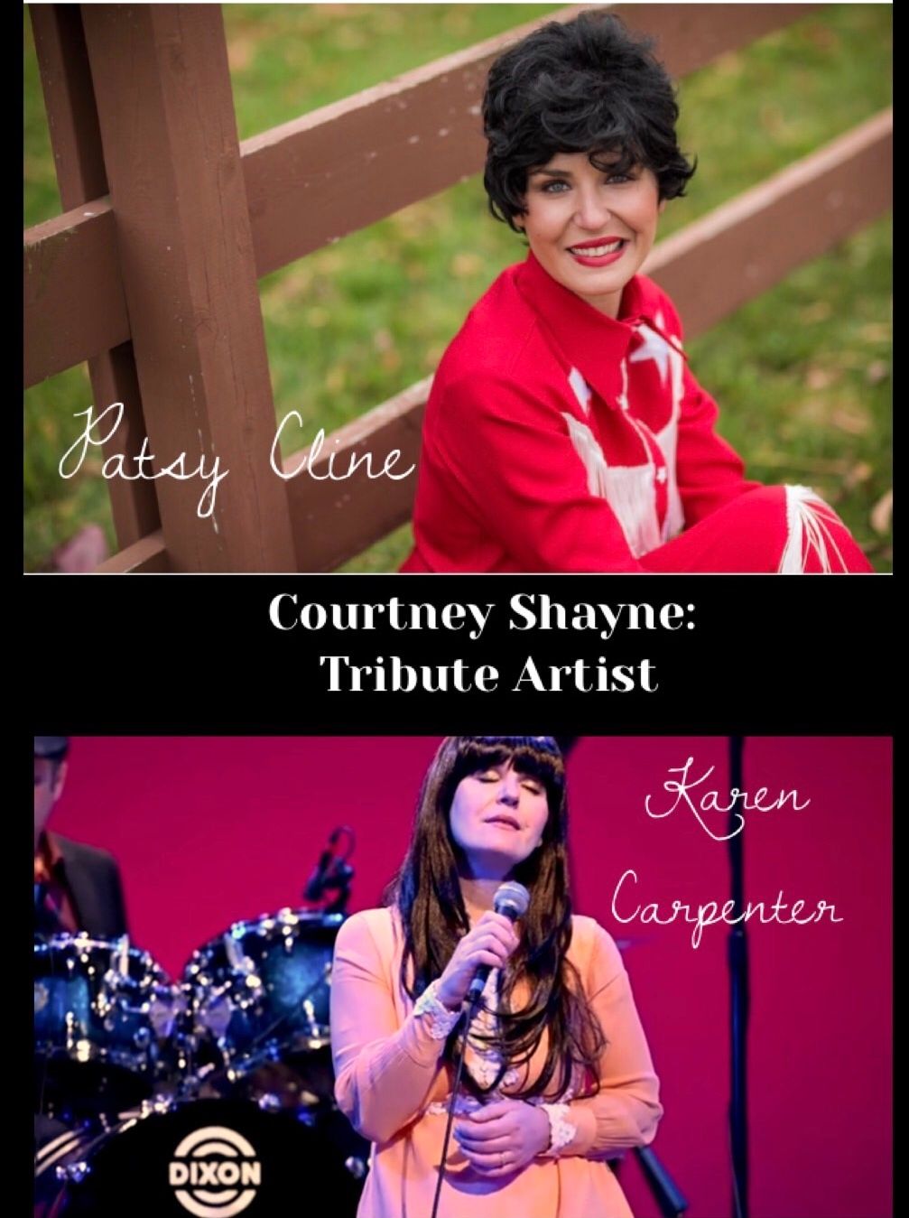 Courtney Shayne: Tribute Artist