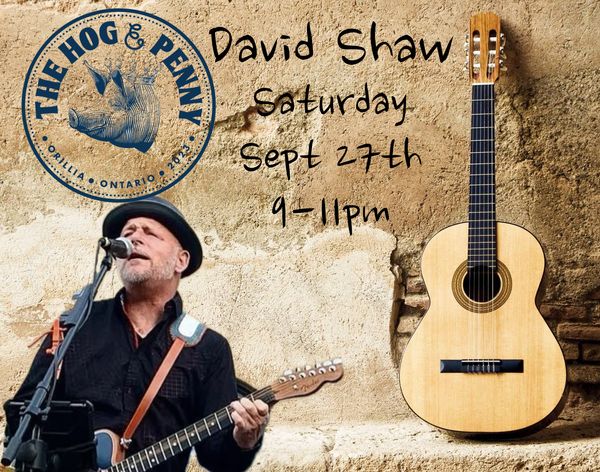 David Shaw Unplugged