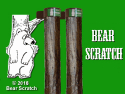 Home [bearscratch.com]