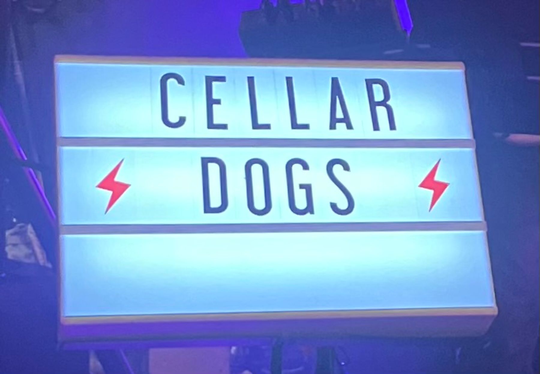 Cellar Dogs