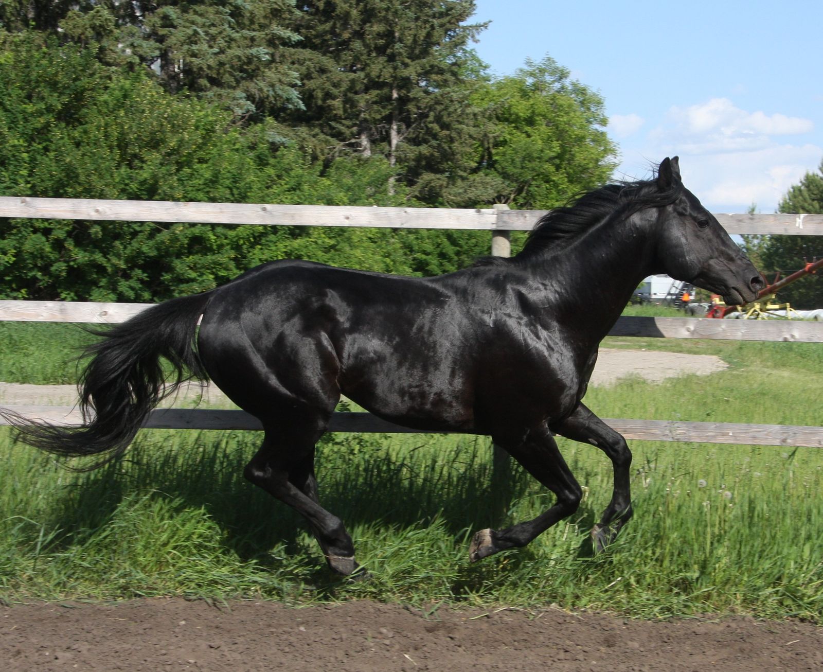 Thunder Spirit Ranch - Easy Six Kit