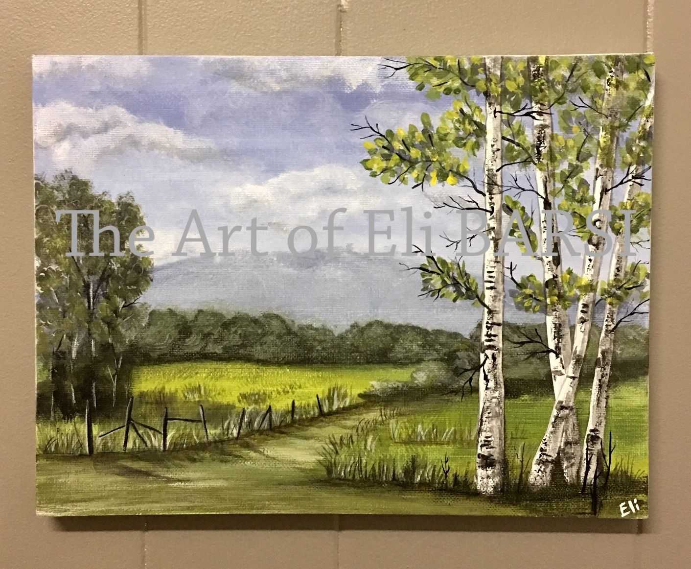 Eli Barsi - The Art of ELI BARSI