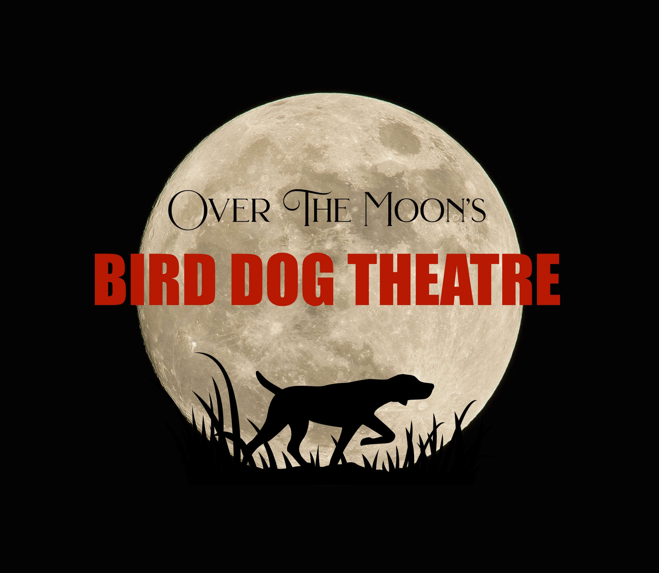 Bird Dog Theatre and Studios
