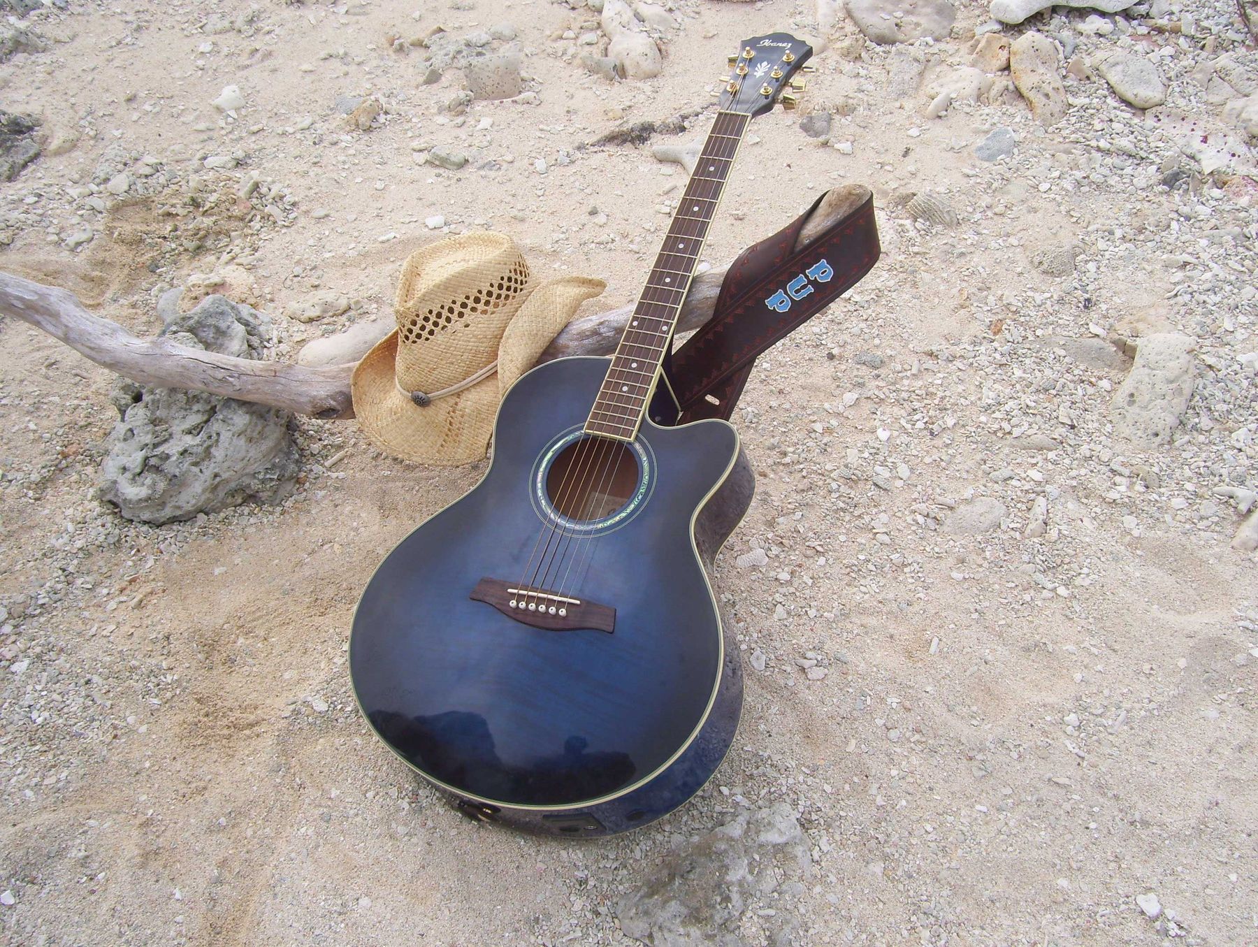 The Scuba Cowboy - About Pup