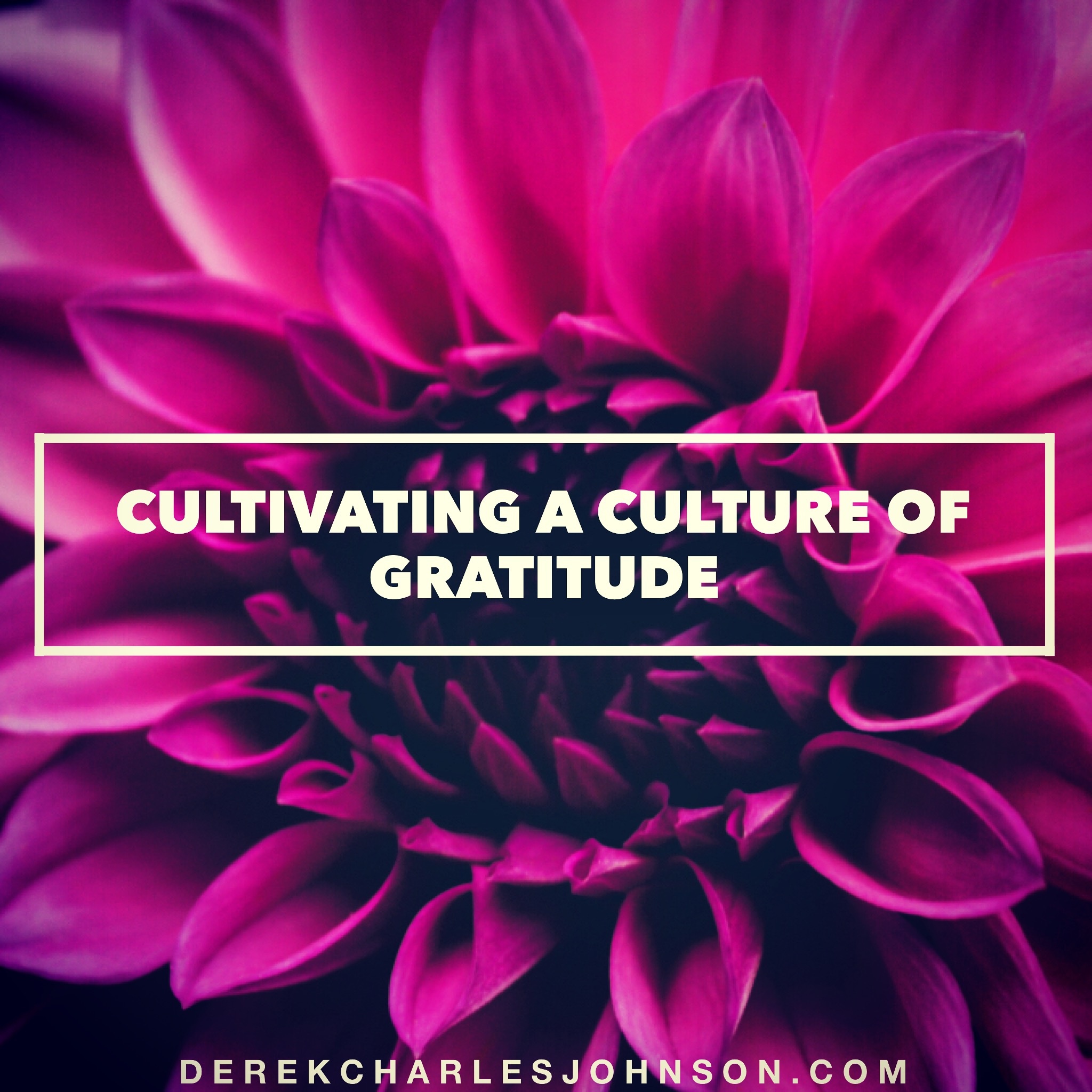 Cultivating A Culture Of Gratitude