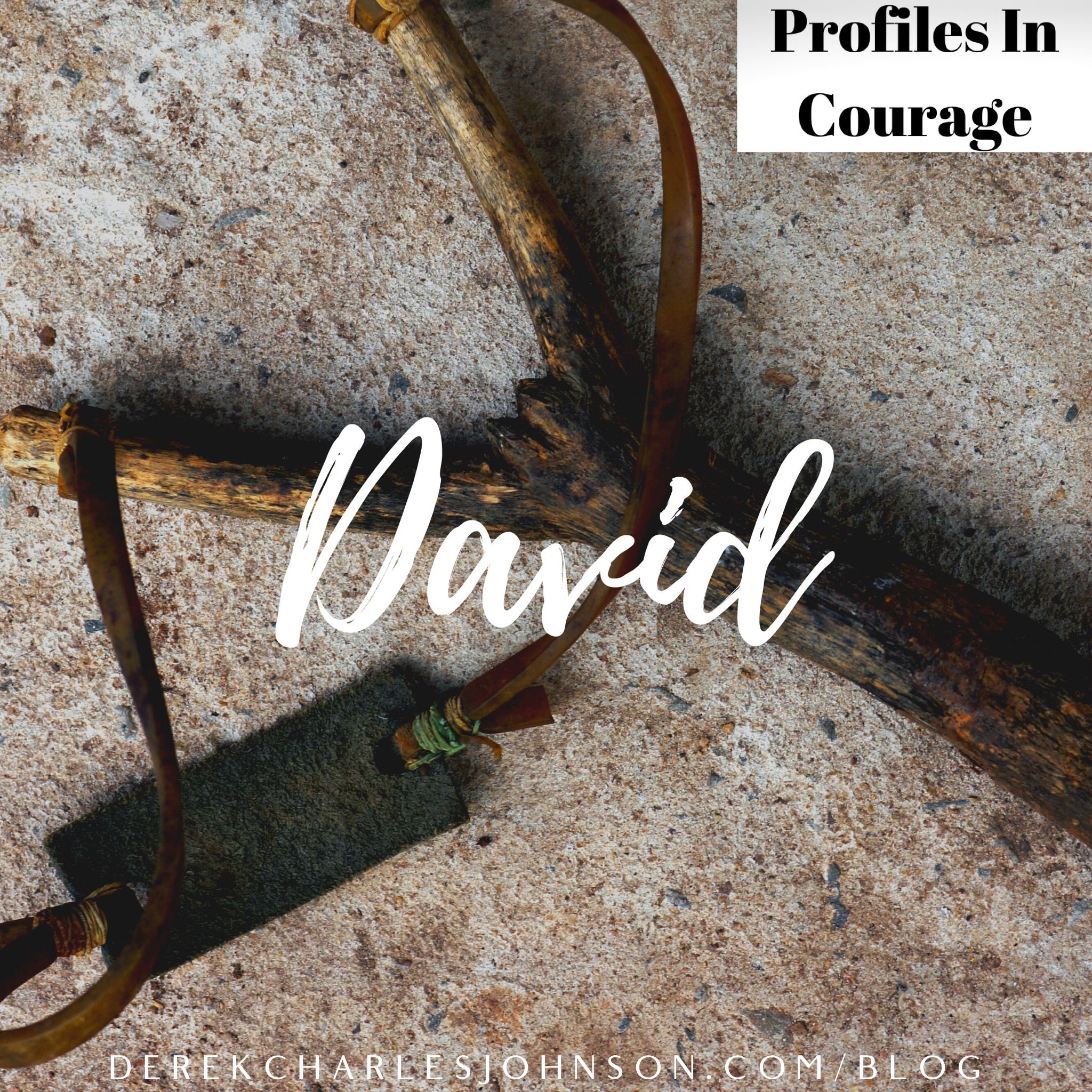 DAVID (Profiles In Courage)