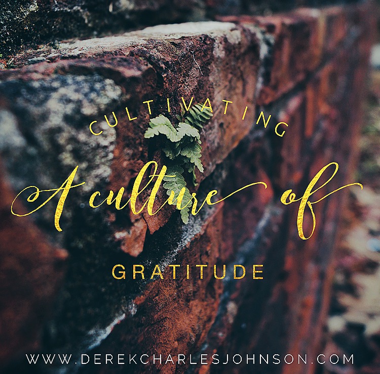 Cultivating A Culture Of Gratitude