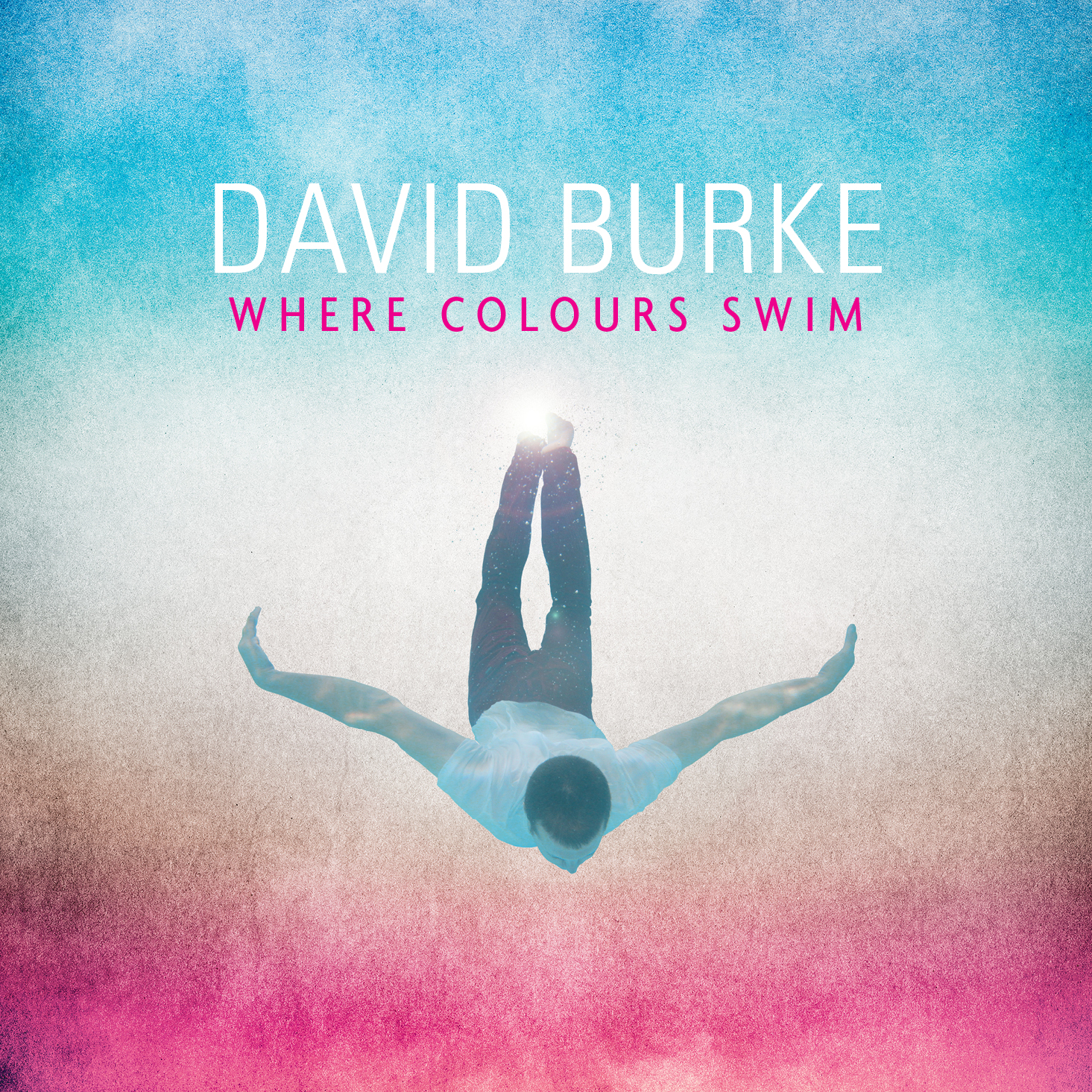 David Burke