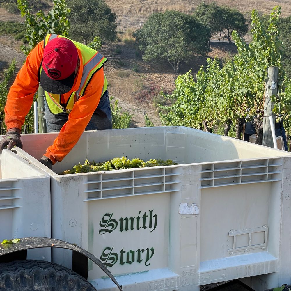 Smith Story Wine Cellars