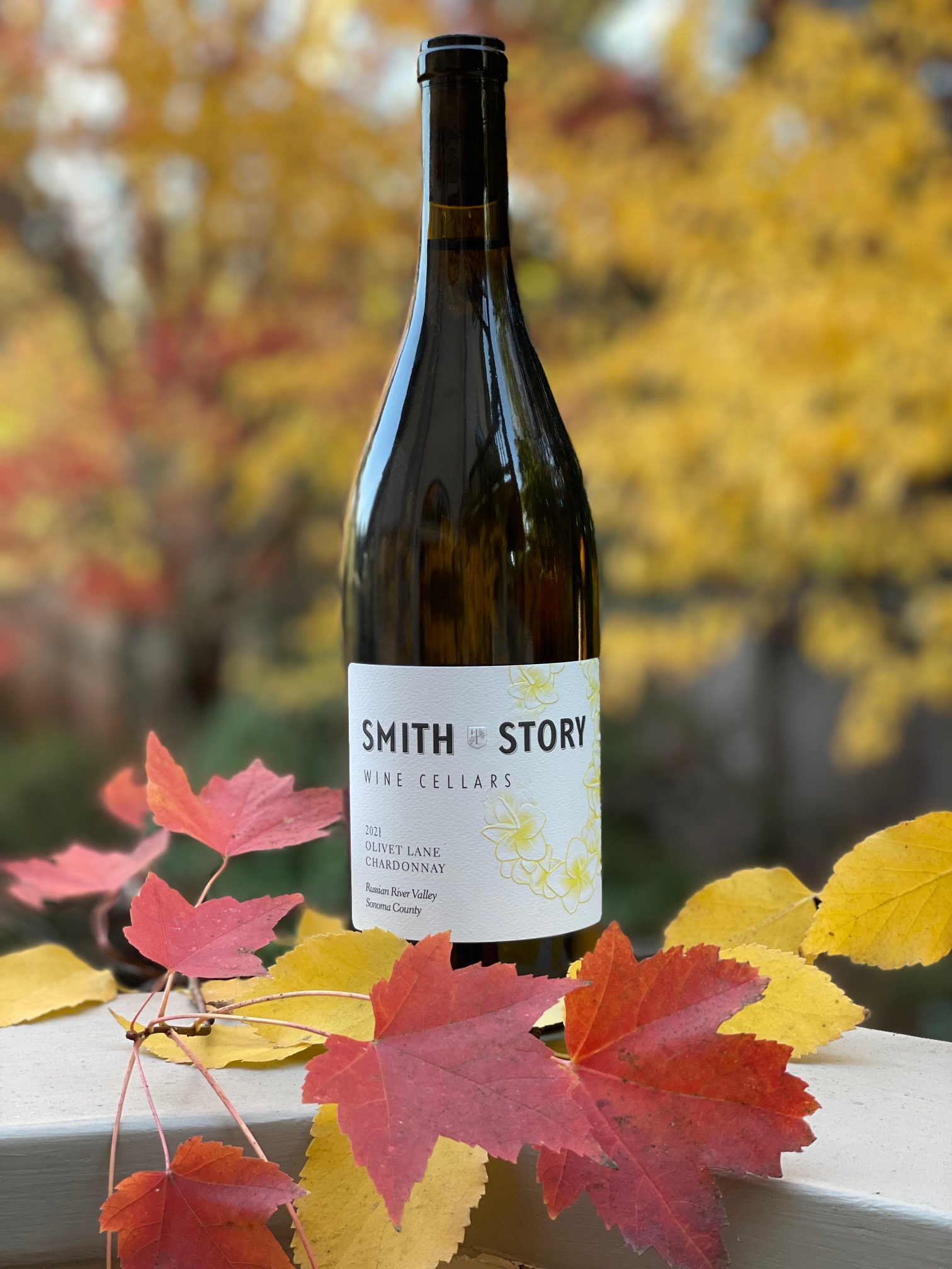 Smith Story Wine Cellars in Healdsburg, California