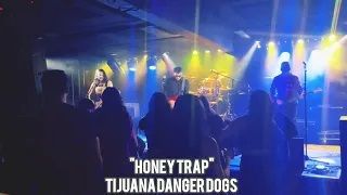 Tijuana Danger Dogs