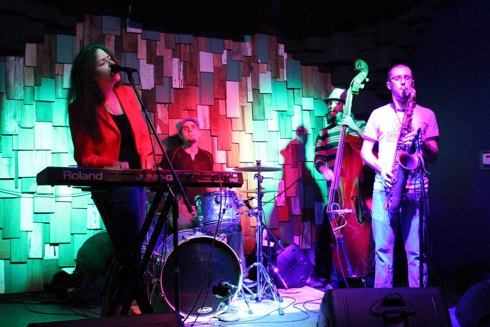 Ainsley Matich and the Broken Blues - Photos