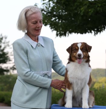 Milwin Australian Shepherds - Patsy