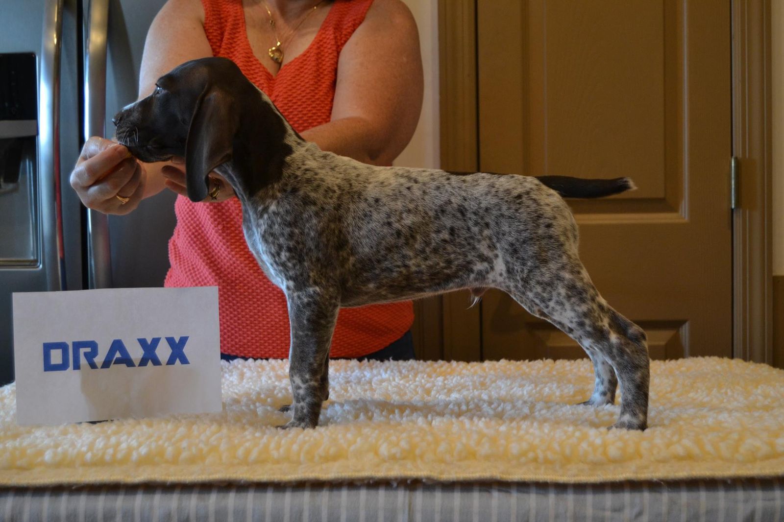 Claddaghkennels.com - Puppy Pictures