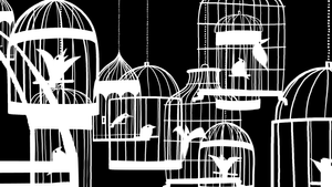 CAT BIRD COYOTE: award-winning short film & animated music video for ...