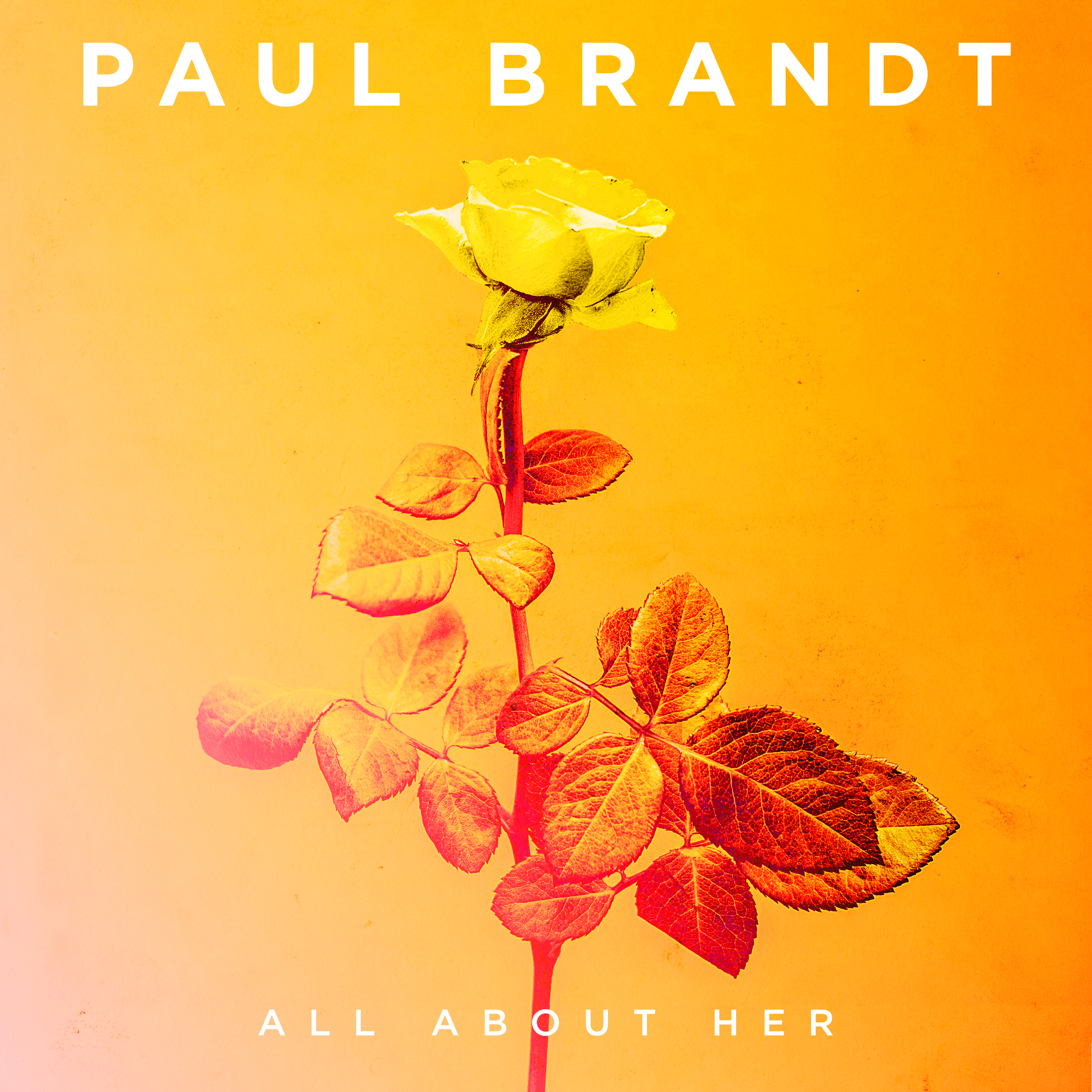 Paul Brandt's New Single ''All About Her'' Available Now!