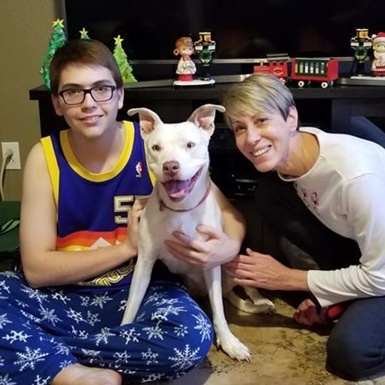 Mayday Pit Bull Rescue - Rehome