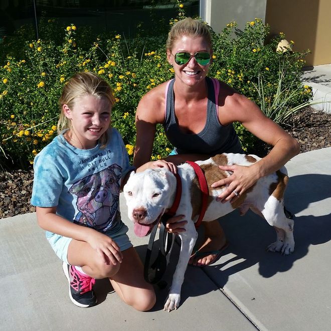 Mayday Pit Bull Rescue