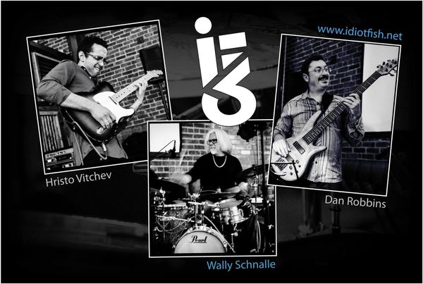 Idiot Fish 3 - Shows