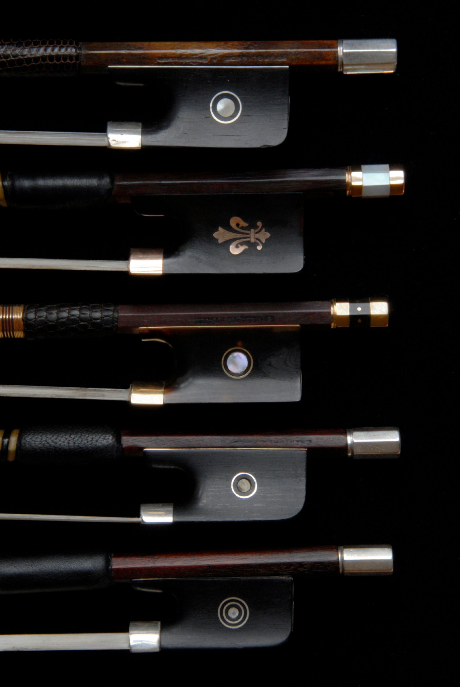 Violin vs Viola vs Cello vs Bass | The Ultimate Guide to String ...