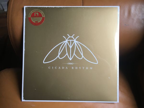 Cicada Rhythm - Store