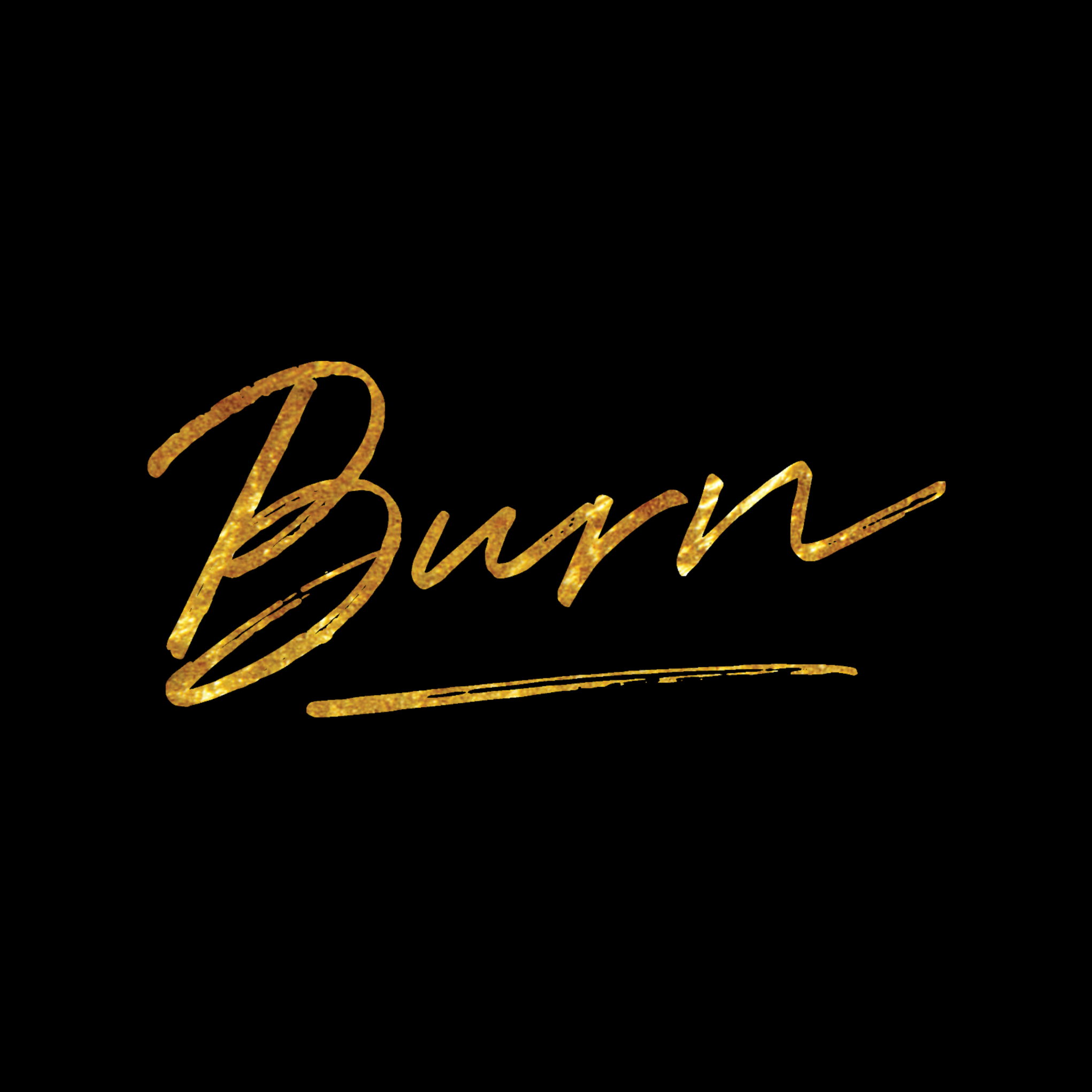 Burn Chapter 1. Entry #1