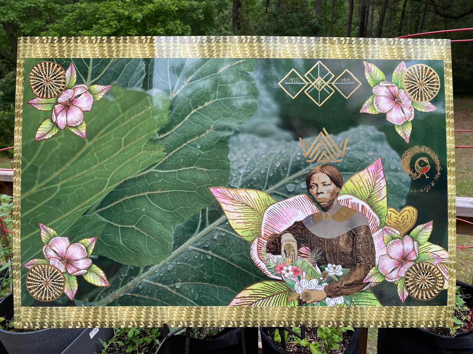 Visual Works of Mahoganee