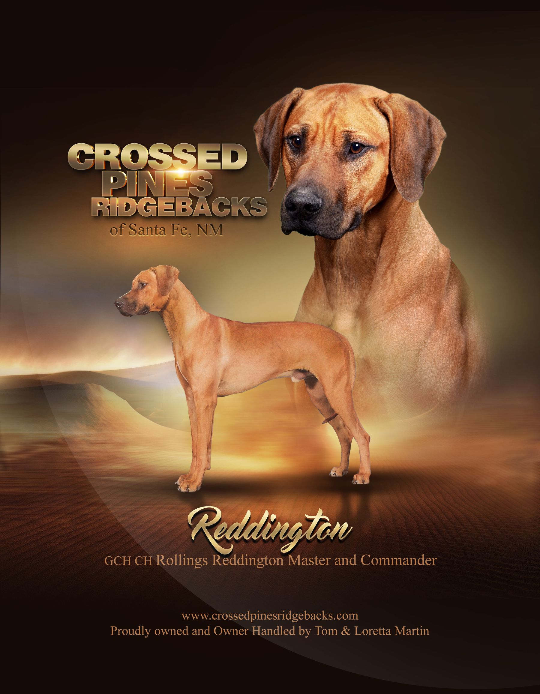 Crossed Pines Ridgebacks