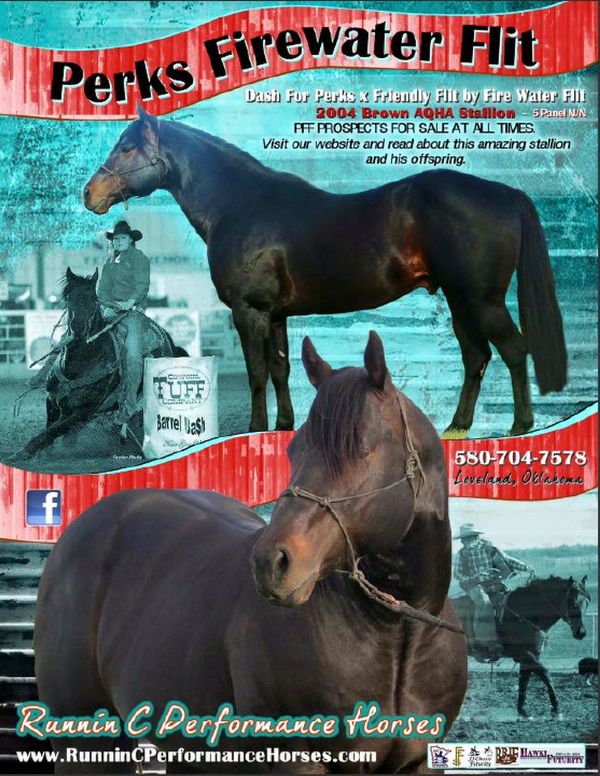 Make It Happen - Stallion Auction